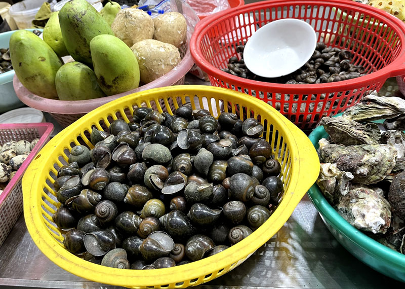 Hanoi Specialty: Tasty Dishes Prepared From Snails